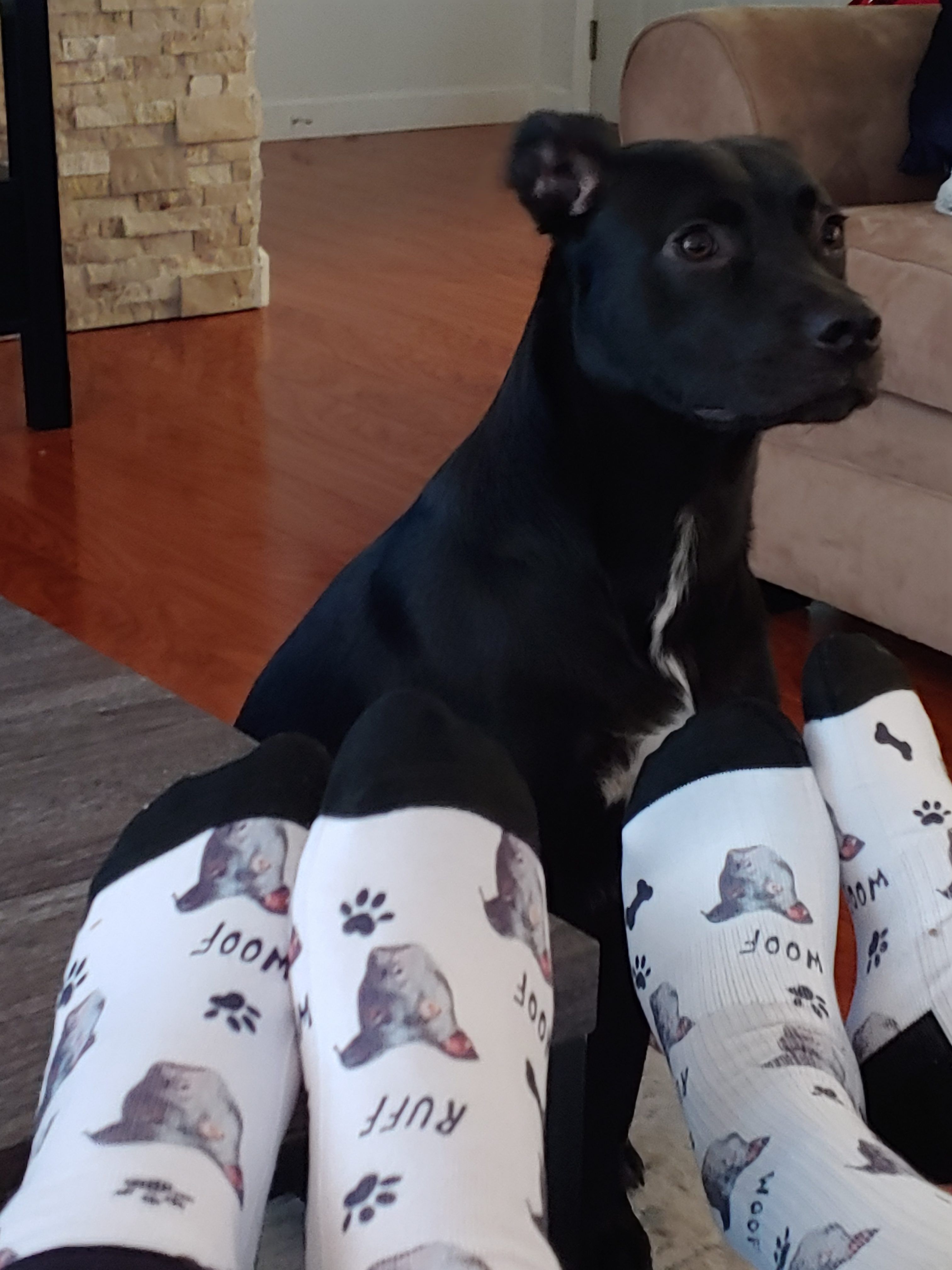 Custom Cat Socks - Put Your Cat's Face On The Socks | The Original ...