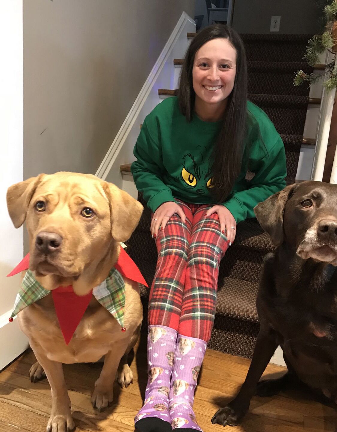 Custom Pet Socks - Put Your Pet's Face On Socks! | The Original ...